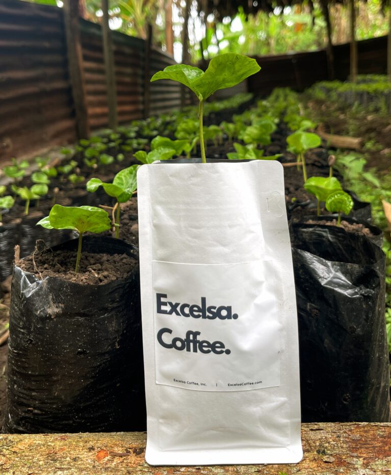 The Surprise of the Excelsa Coffee Variety: Innovation in Cultivation ...