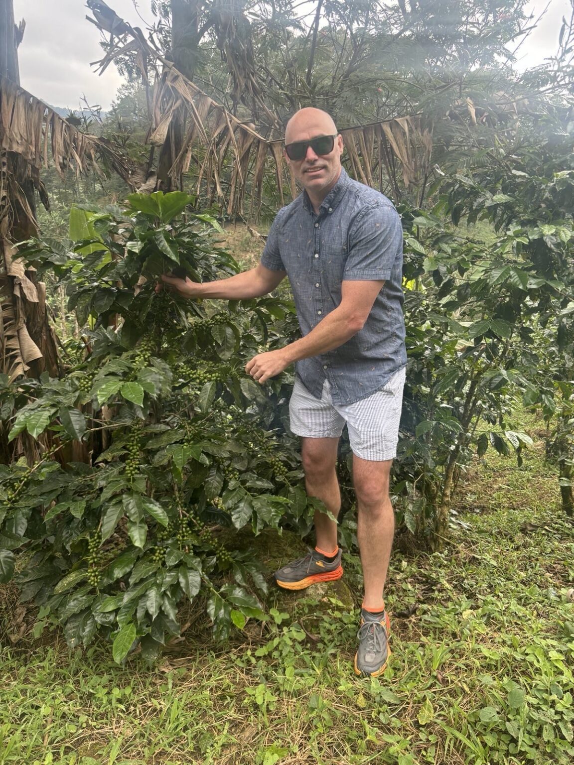 Home - Excelsa Coffee Company